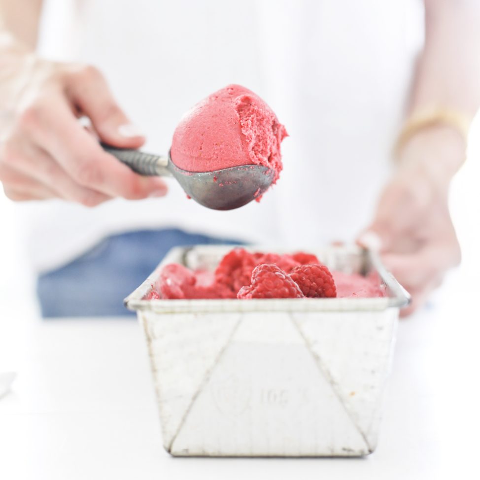 Raspberry Blender Frozen Yogurt - Fraiche Living