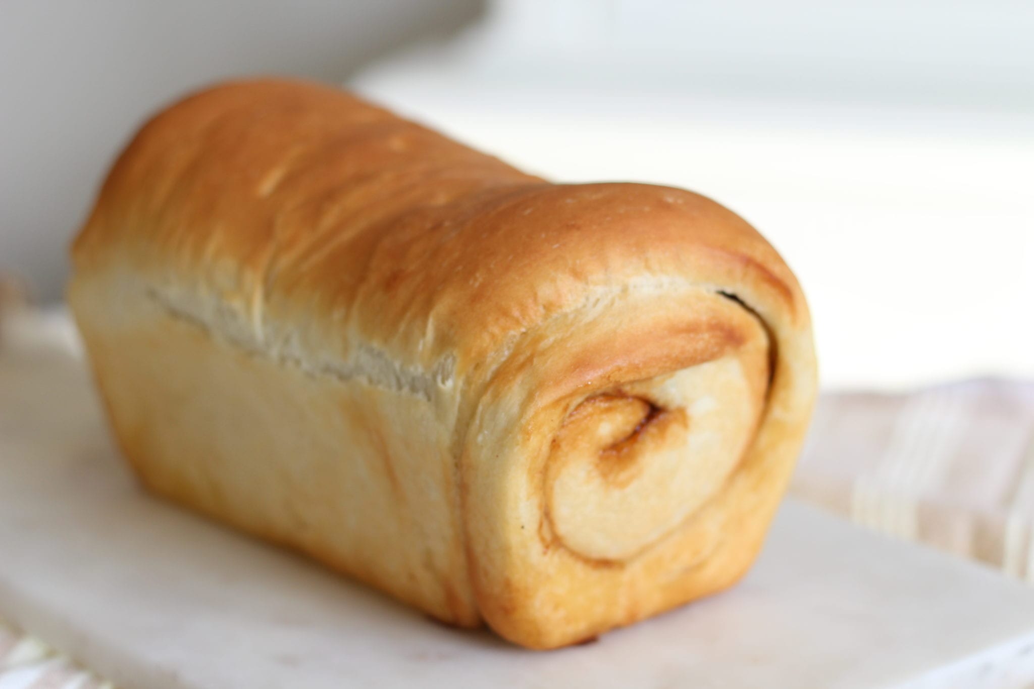 Perfect White Buns - Fraiche Living