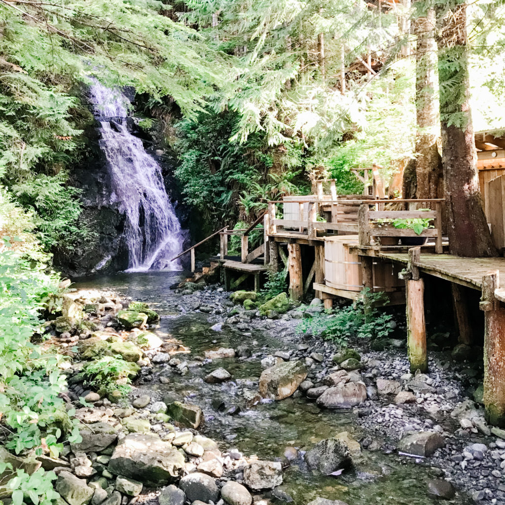 Dreaming of Our Nimmo Bay Adventure - Fraiche Living