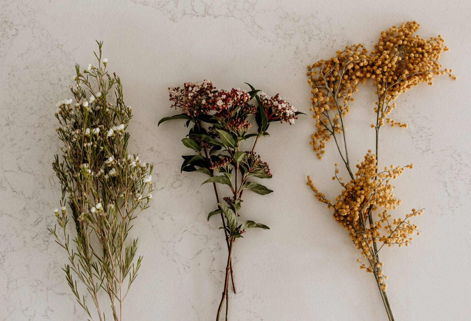 Spring Basket Arrangement - Fraiche Living