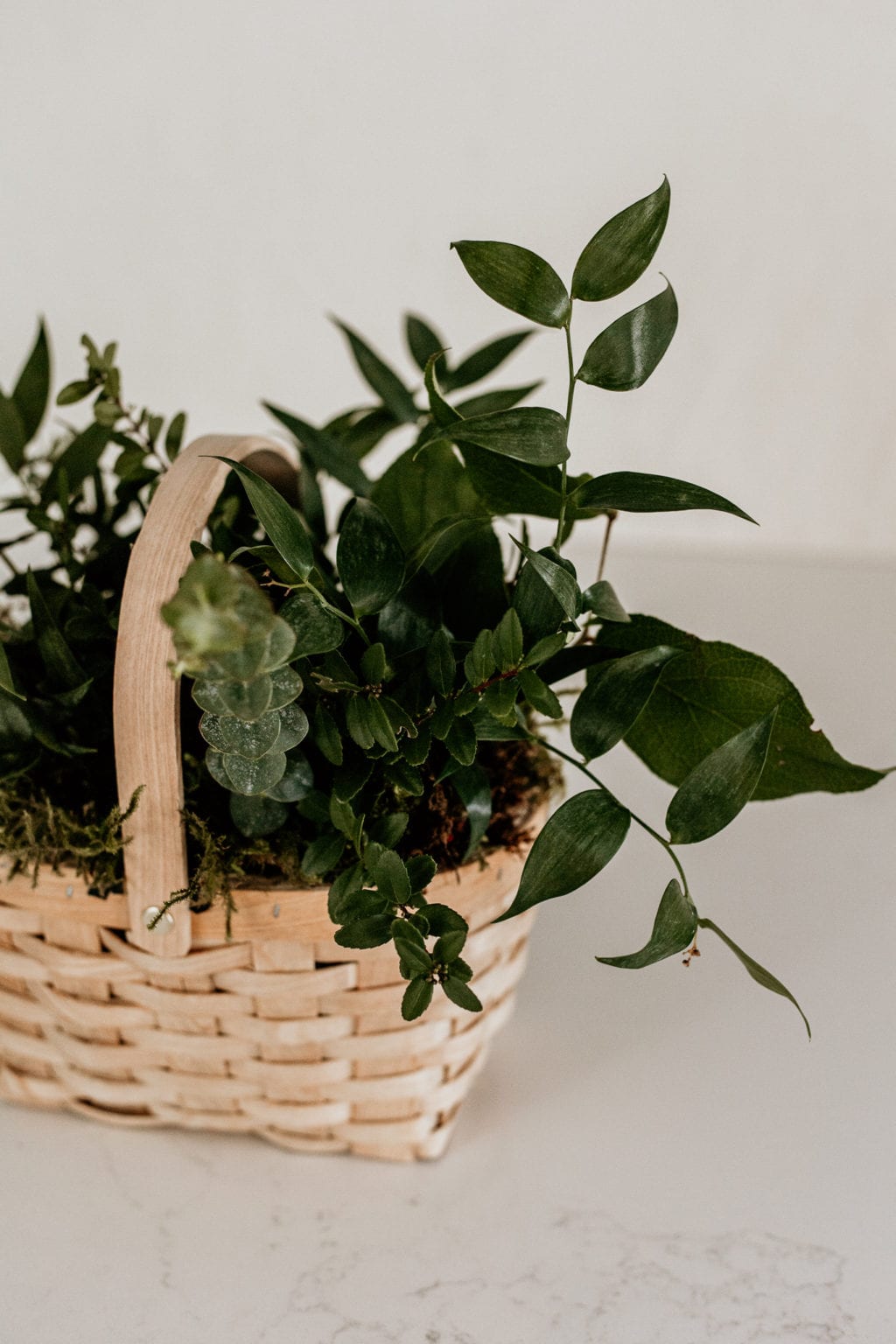 Spring Basket Arrangement - Fraiche Living