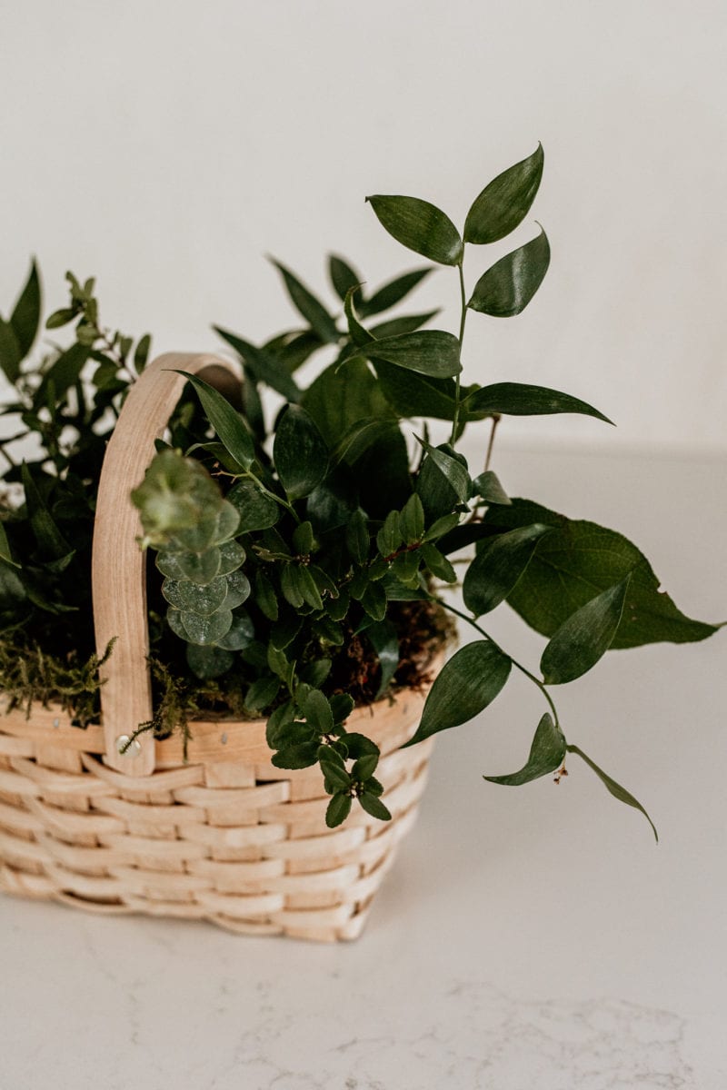Spring Basket Arrangement - Fraiche Living