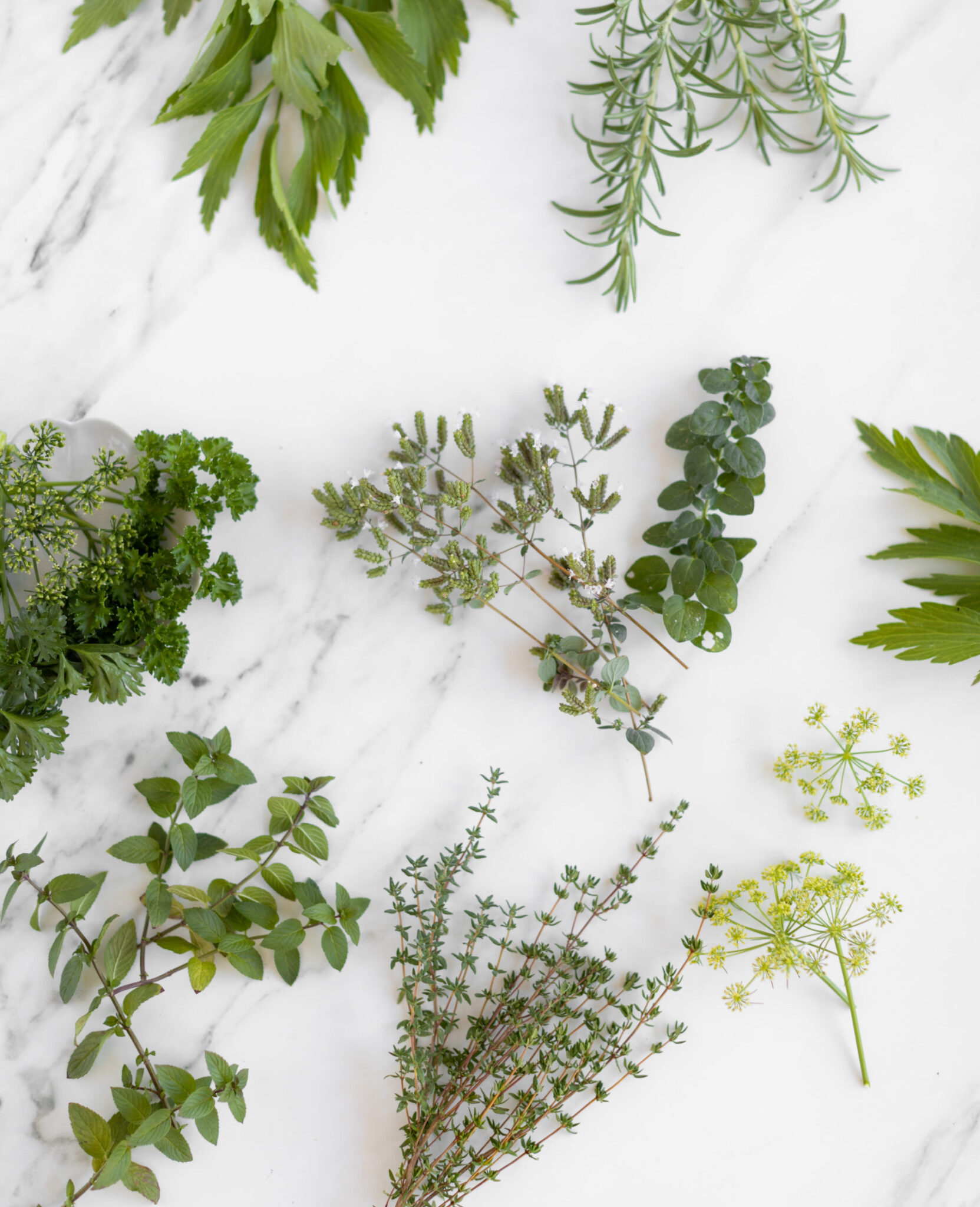 How to Plant a French Herb Garden - Fraiche Living