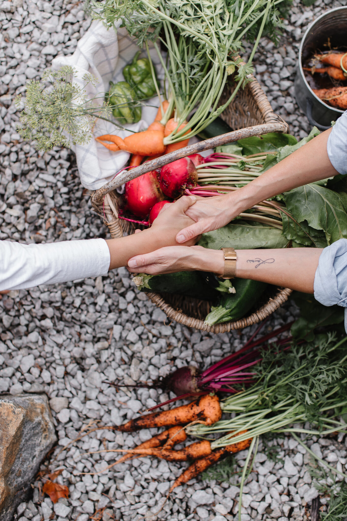 How to Plant a Vegetable Garden - Fraiche Living