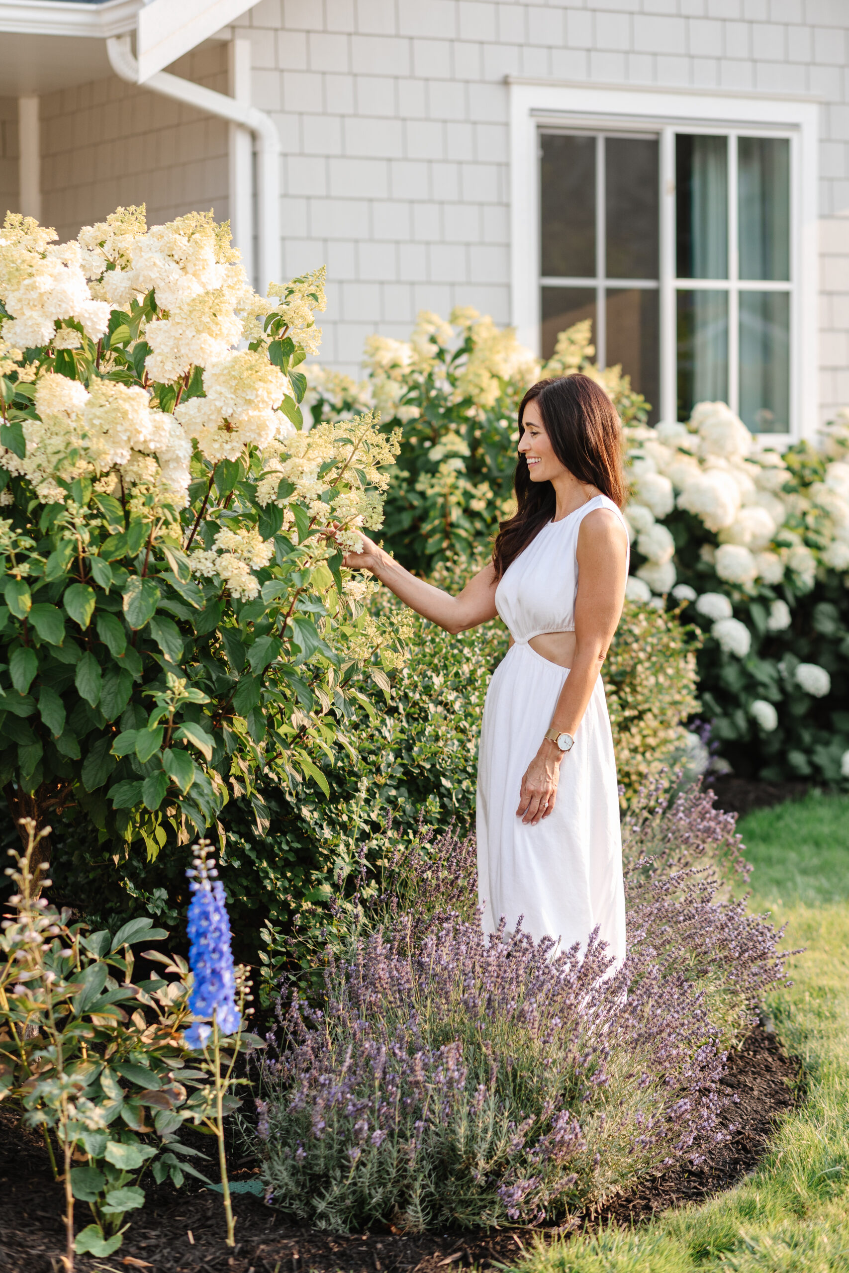 How to Grow Hydrangeas - Fraiche Living