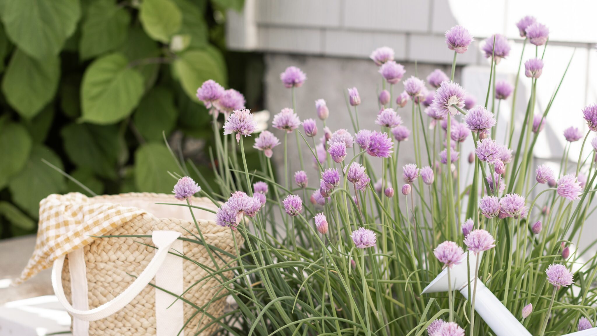 How to Make Chive Blossom Vinegar - Fraiche Living